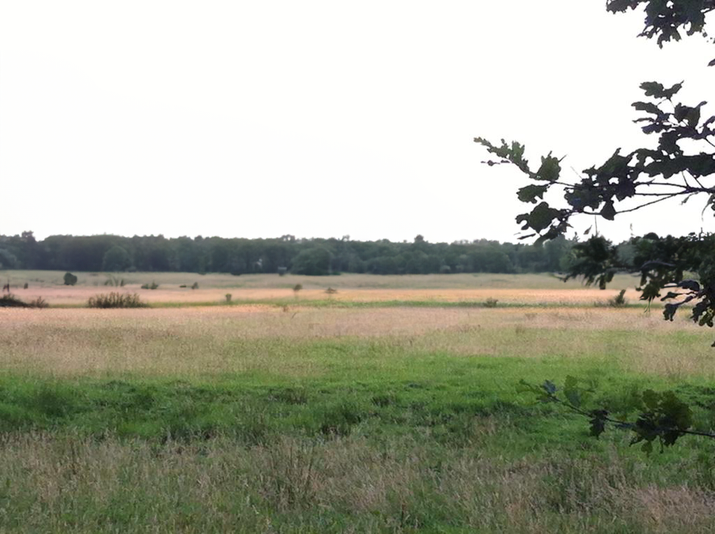 Het lege veld - Ga Lezen